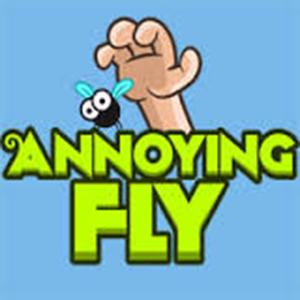 Annoying Fly: Play Annoying Fly Games at Friv3play.net